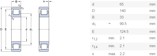N313 SKF cylindrical roller bearing with competitive price - SKF bearings